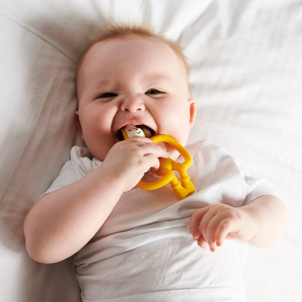 LUDO LION TEETHER | ANIMAL TEETHING TOY | MATCHSTICK MONKEY ...