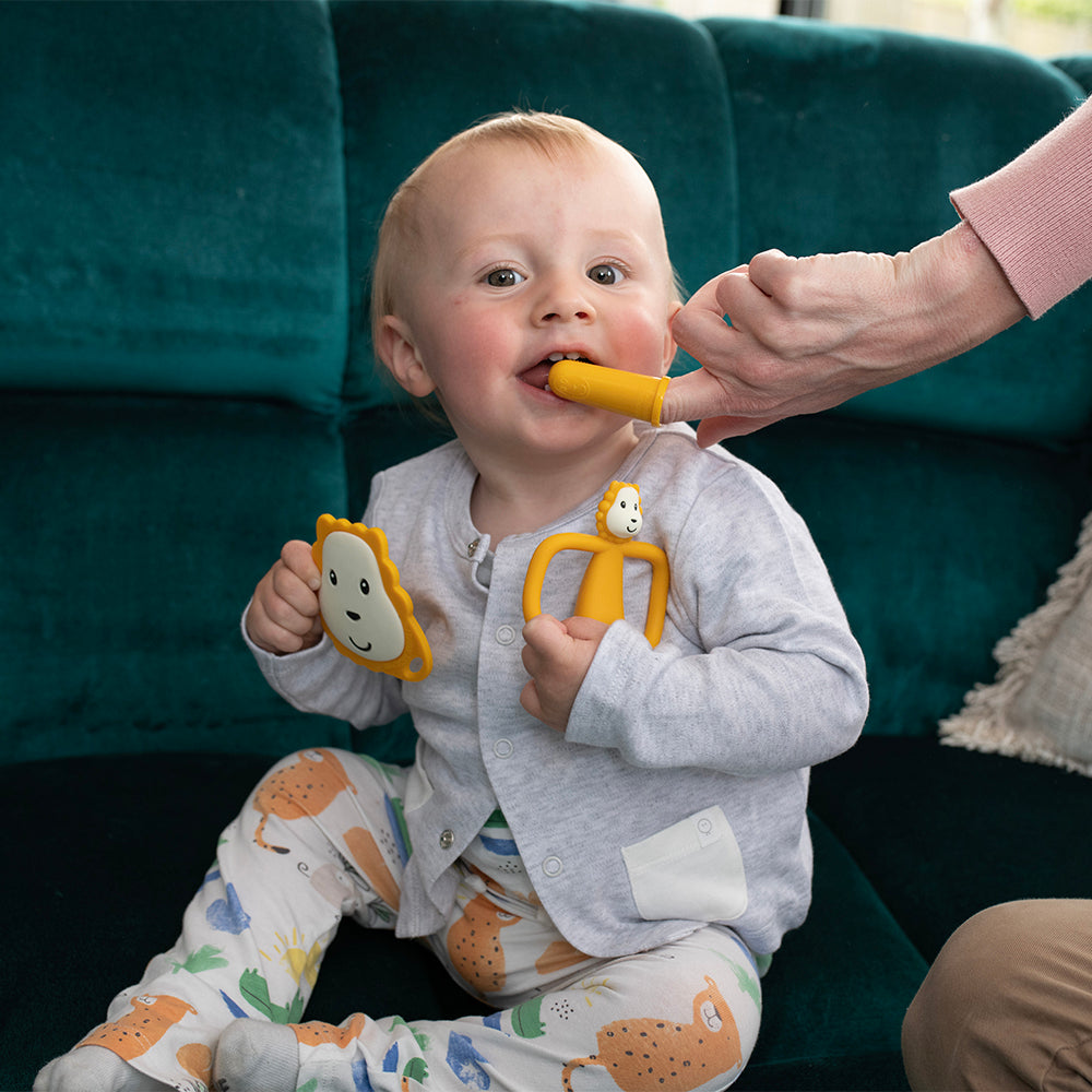 Teething Starter Set | Ludo Lion | Animal Teething Toys | Matchstick ...