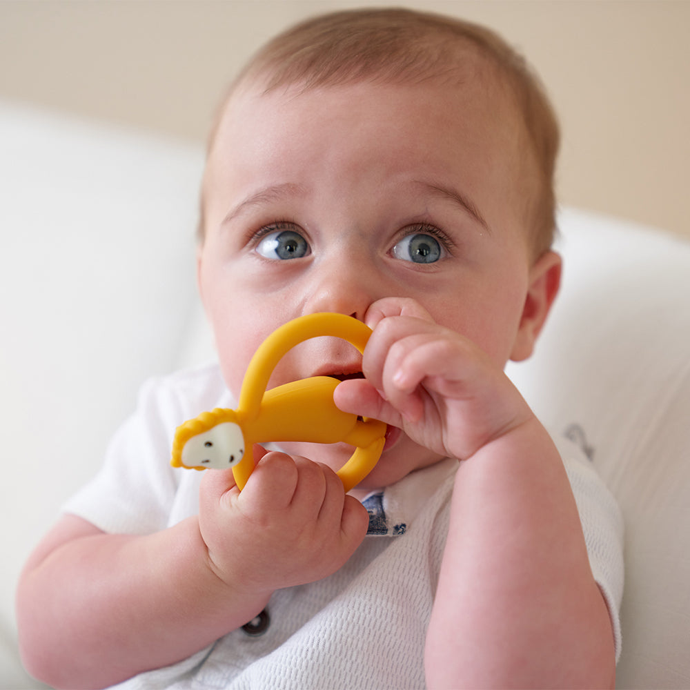 LUDO LION TEETHER | ANIMAL TEETHING TOY | MATCHSTICK MONKEY ...